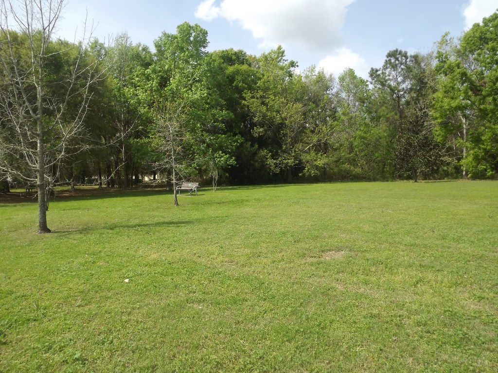 Back to the Basic Farms – Inspiring minorities to get back to the basic ...