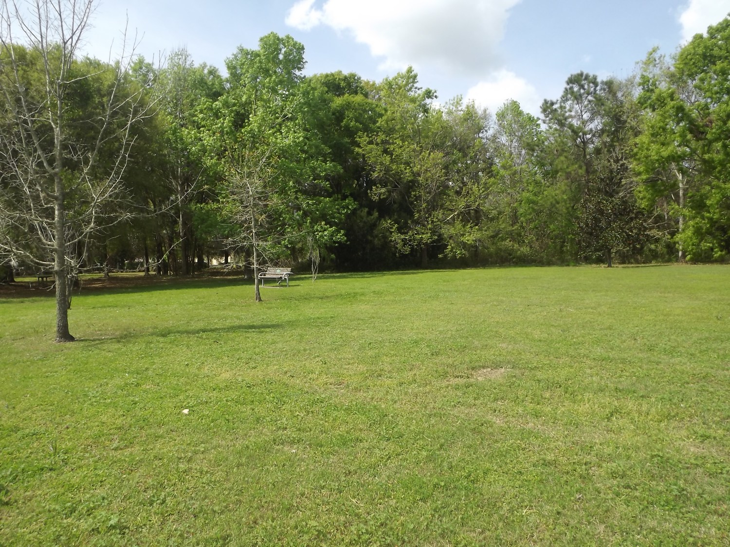 Back to the Basic Farms – Inspiring minorities to get back to the basic ...